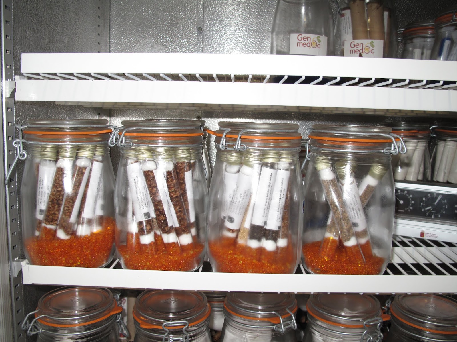 Recolección de germoplasma y Centro de Conservación de la Flora Silvestre