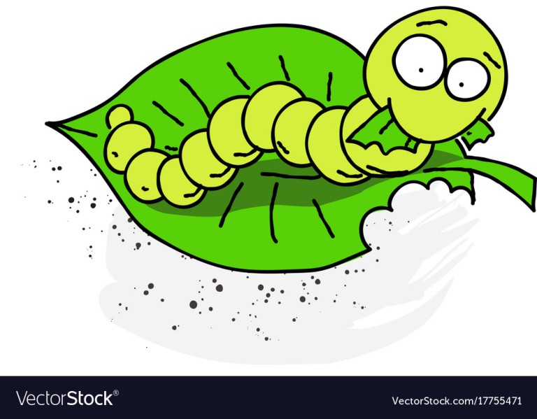 Gambar Kartun Ulat Atas Daun Alan Powell
