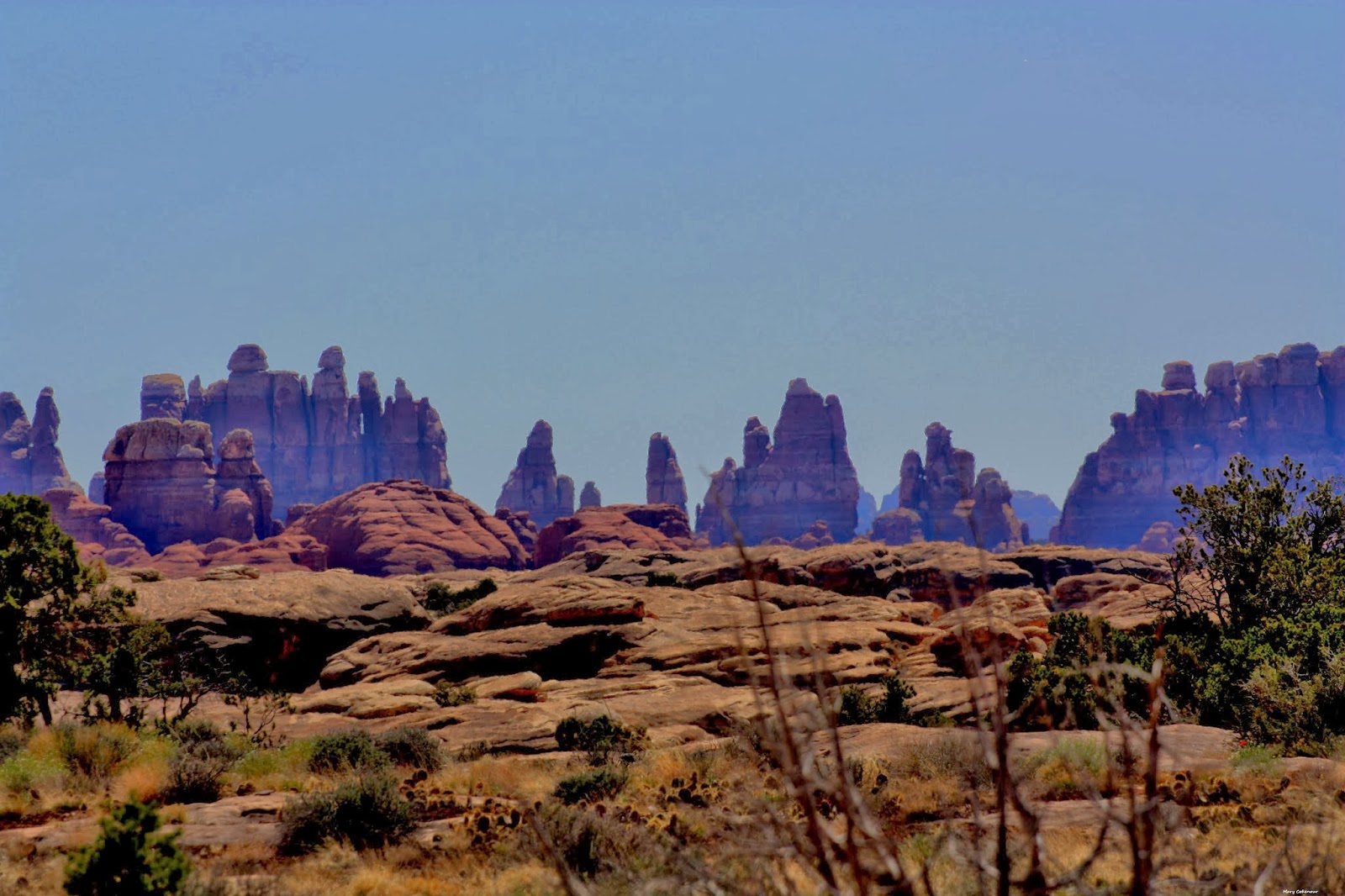The Southwest Through Wide Brown Eyes: Canyonlands, the Needles ...