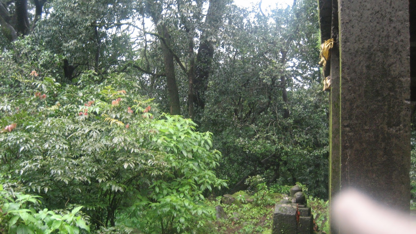 On the Edge of Sahyadris: Ahupe Ghat: A memorable walk through heaven