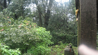 On the Edge of Sahyadris: Ahupe Ghat: A memorable walk through heaven