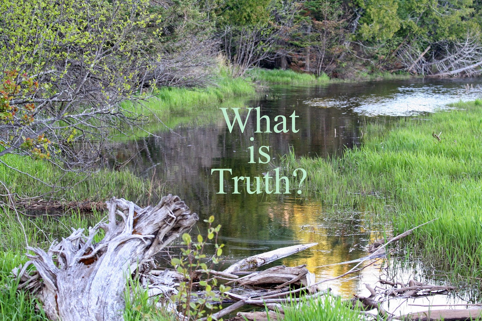 Live Life What Is Truth live-life-what-is-truth