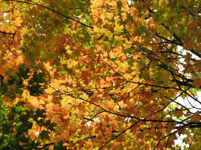 Red Rocks Park -South Burlington, Vermont | Litter with a Story To Tell