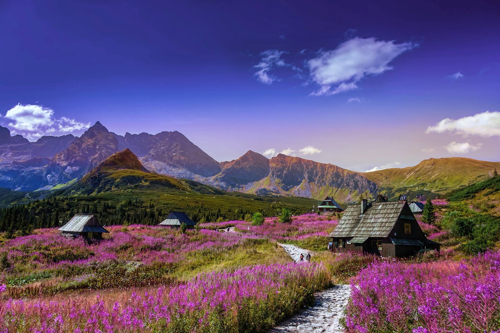 MAŁE TRIPY: marca 2016