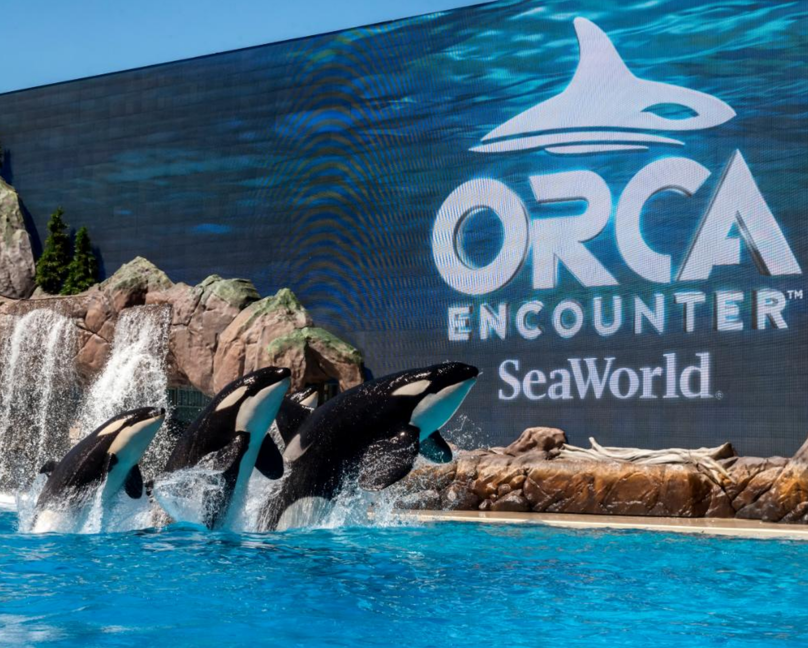 NewsPlusNotes: SeaWorld San Diego Opens New Ocean Explorer Themed Area ...