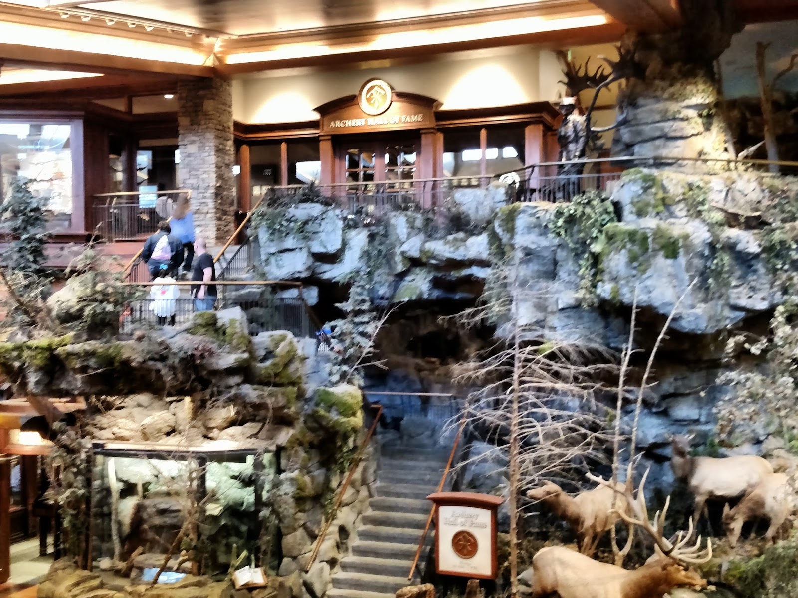 Traversing the Trails: Bass Pro Shop in Springfield MO