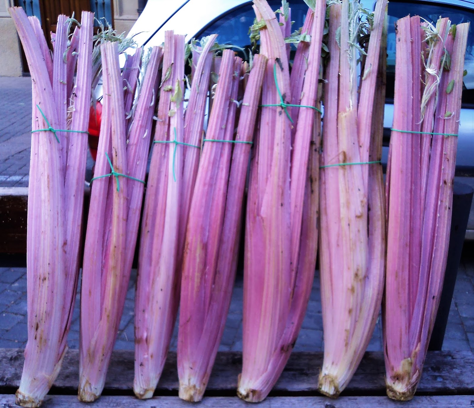 "Mi Huerta de Corella": Cardo Rojo de Corella