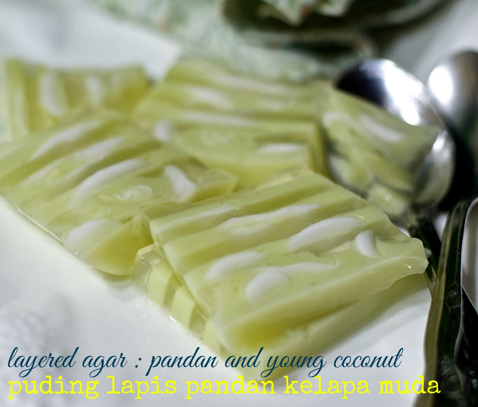 Indonesian Medan Food: Puding Pandan Kelapa Muda ( Layered agar ...
