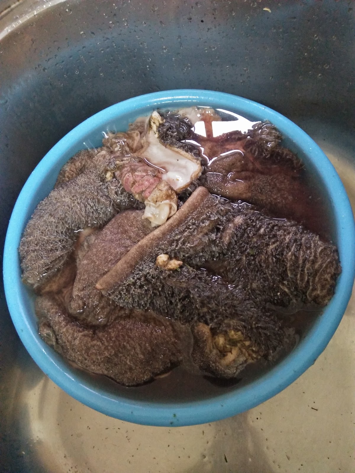 aku & kehidupan ini: Air asam perut lembu