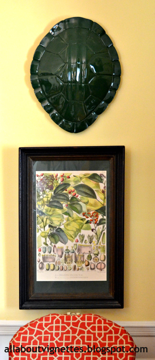 All About Vignettes: Sun Bleached Tortoise Shells