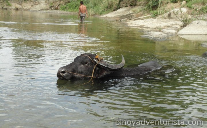 Bulacan - Madlum River Swimming, a Refreshing Break from Mt. Manalmon ...