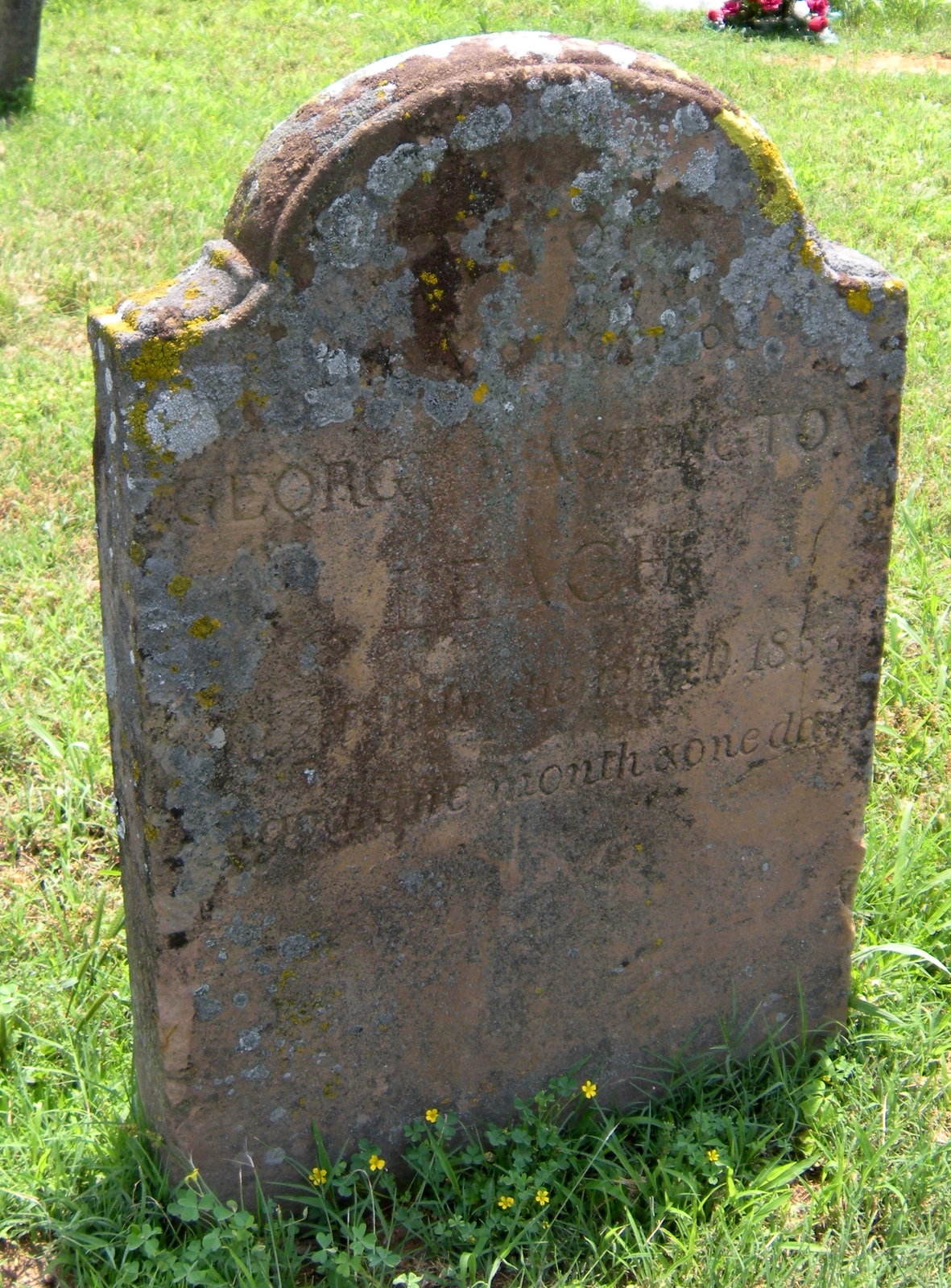 Escape to the Silent Cities: The Leach Family