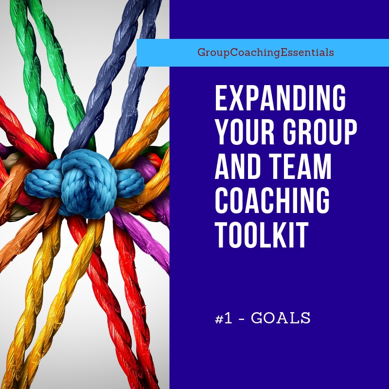 Group Coaching: Ins and Outs: Expand Your Group and Team Coaching ...