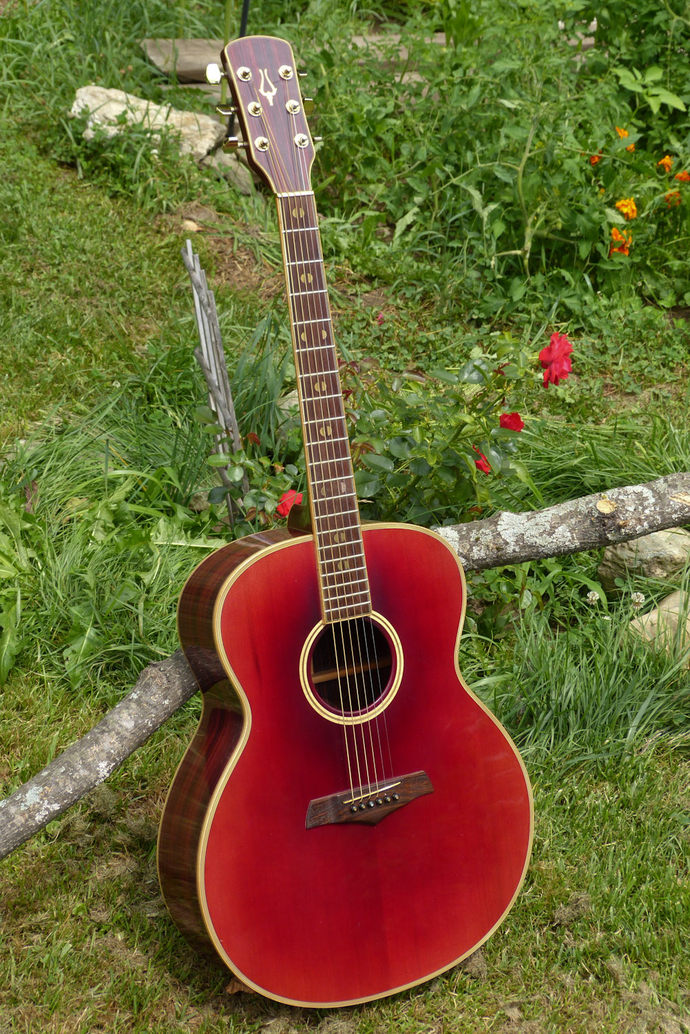 1982 Daion The '82 Flattop Jumbo Guitar