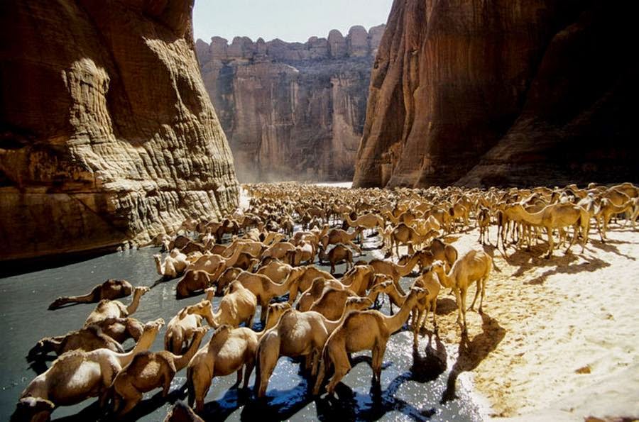 En train autour du Monde !: 44ème étape : République Centrafrique - Tchad