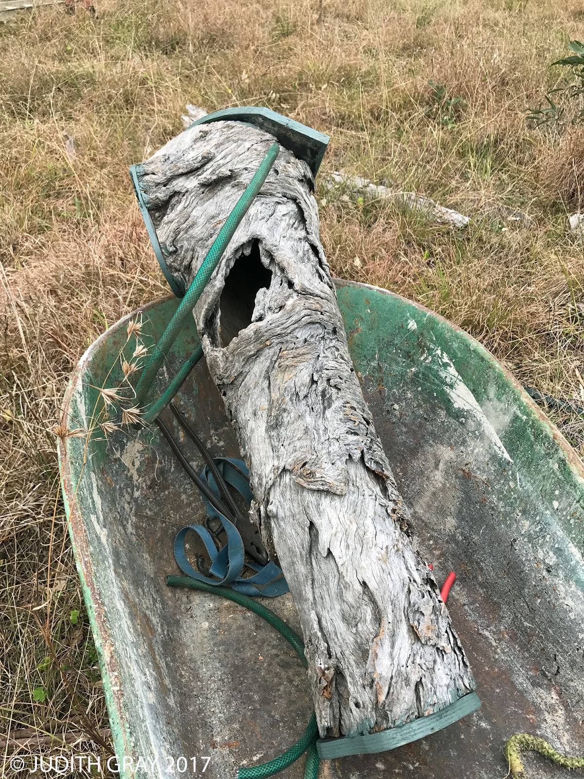 Re-purposed Hollow Log Nesting Box Installation