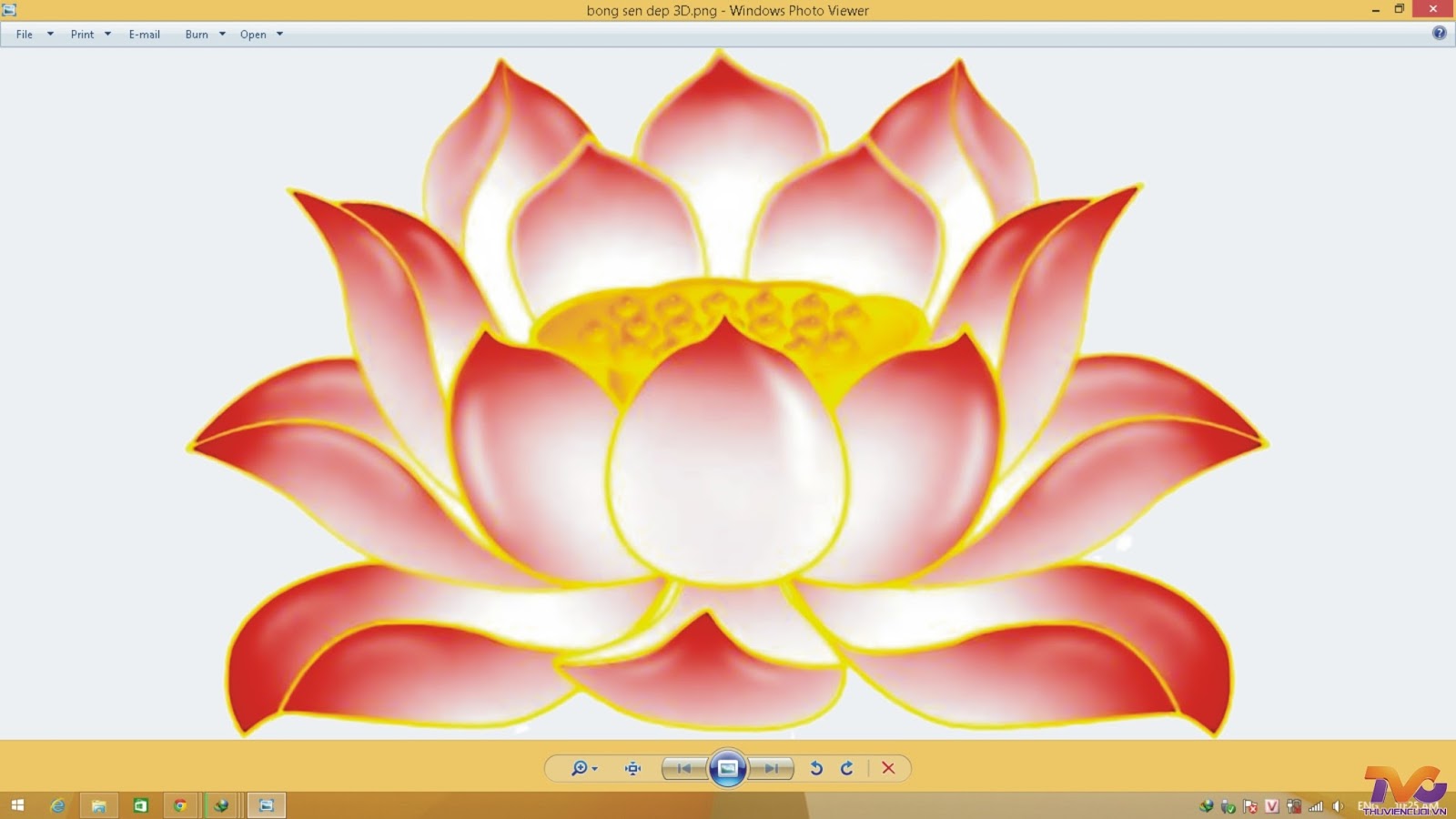 vietsinhvienit: vector hoa sen