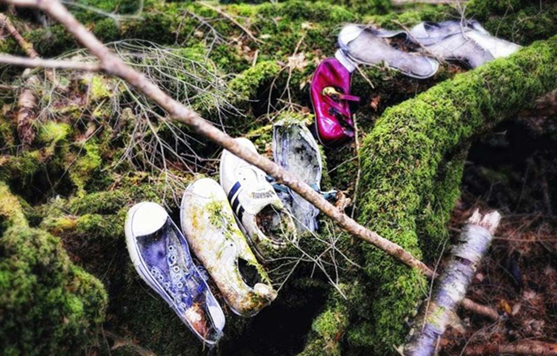 THE MOST HAUNTED FOREST JAPAN TRAGIC SUICIDE FOREST HAUNTED BY THE MANY ...