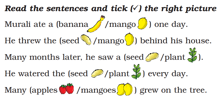 Murali’s Mango Tree | English Story to all