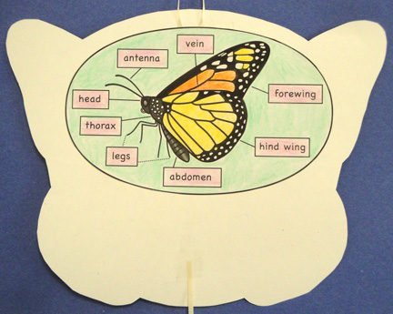 Loreen Leedy Books + More: Learning about Monarch Butterflies by ...