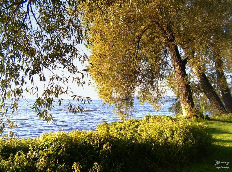 Orillia Travel: Kitchener Park