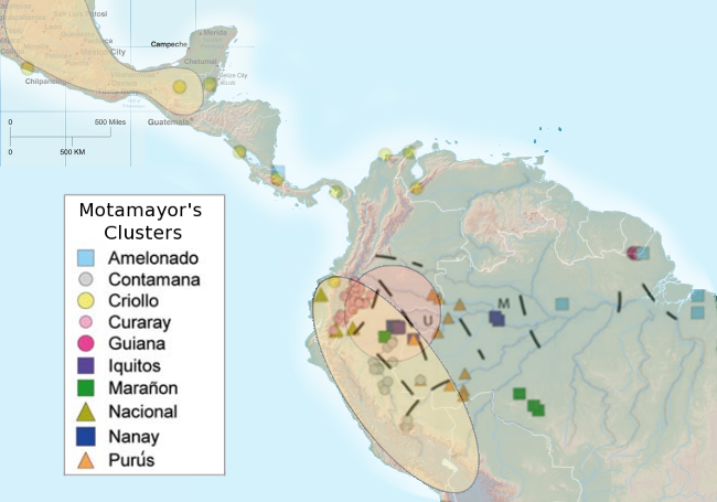 Theobroma: Origen del cacao