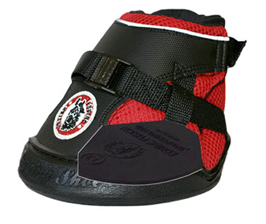 The Hoof Boot Blog: Padding it out - Using comfort pads in hoof boots