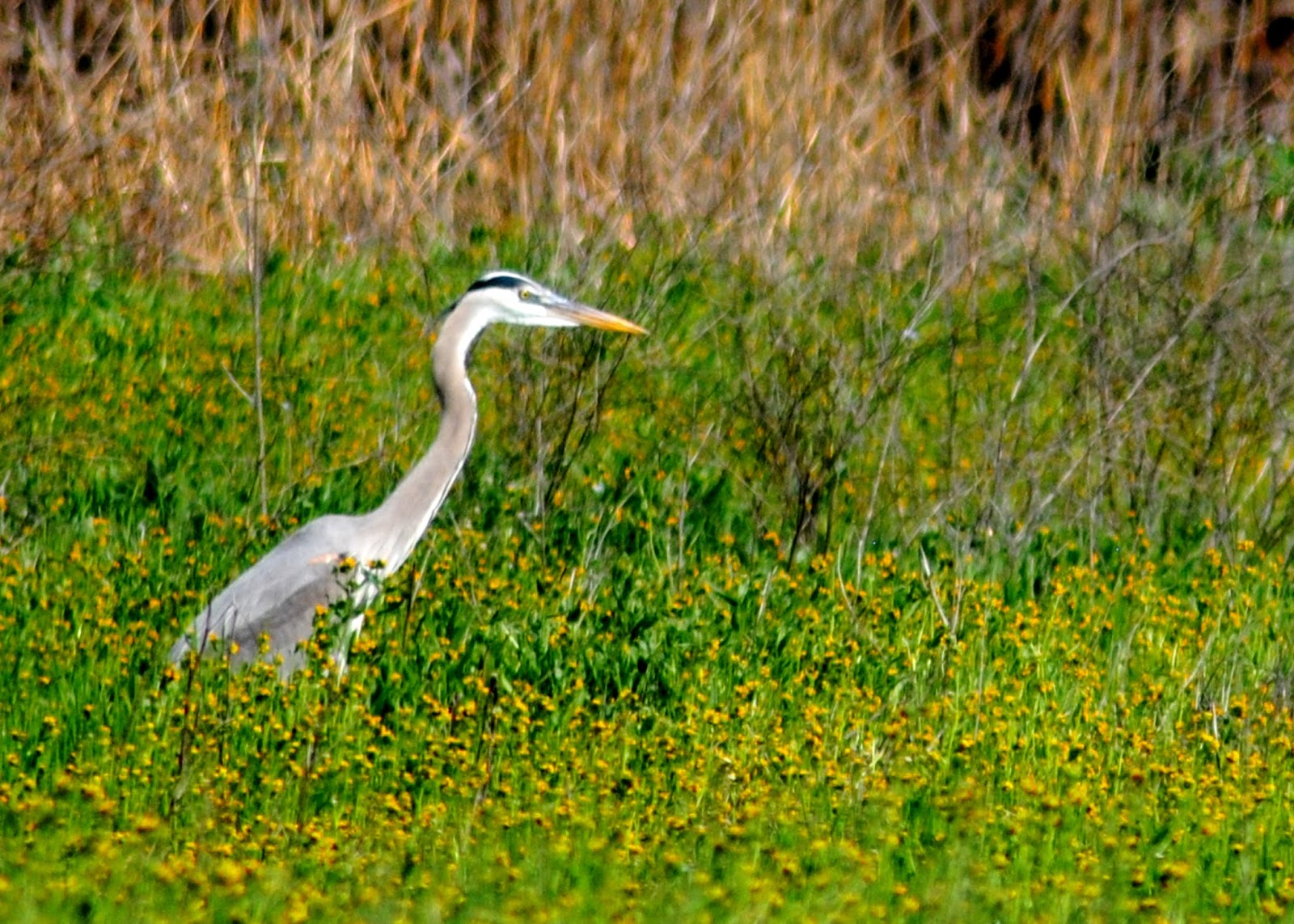 Adventures through Photography: Legs for Days! It's Leg Day at the ...