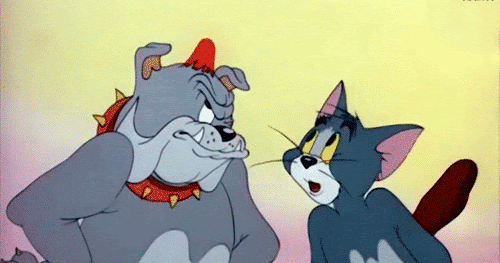 Tom y Jerry : Tom golpeando a Spike