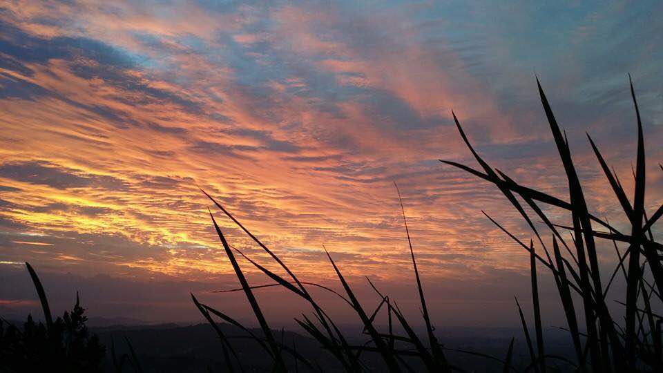 TRAVEL AND LEISURE IN BORNEO: HIKING UP THE SMALL HILLS: Bukit Perahu ...