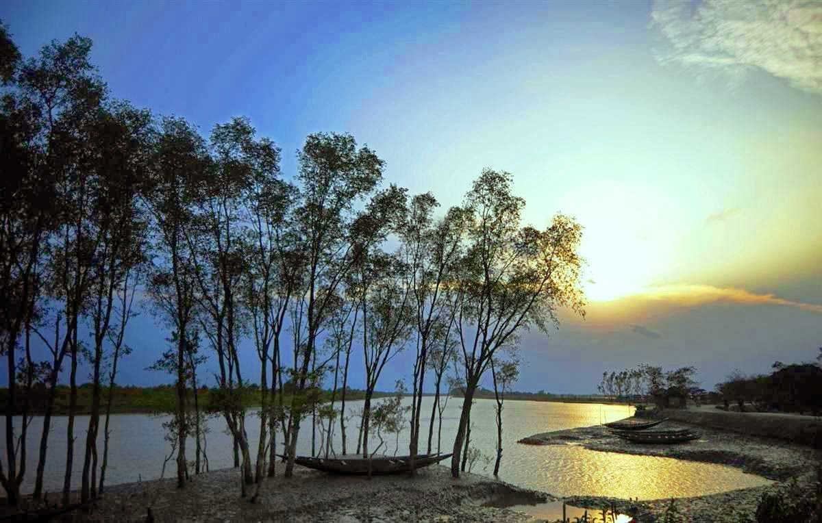Tourist Places in India: Sundarbans National Park, Wildlife Destination ...