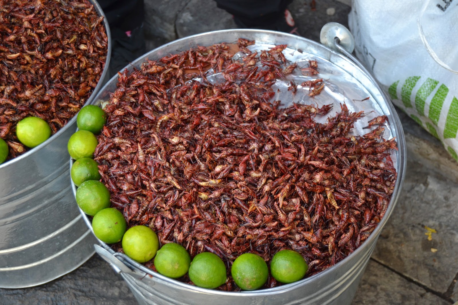 Flavio Calazans come Chapolin Colorado