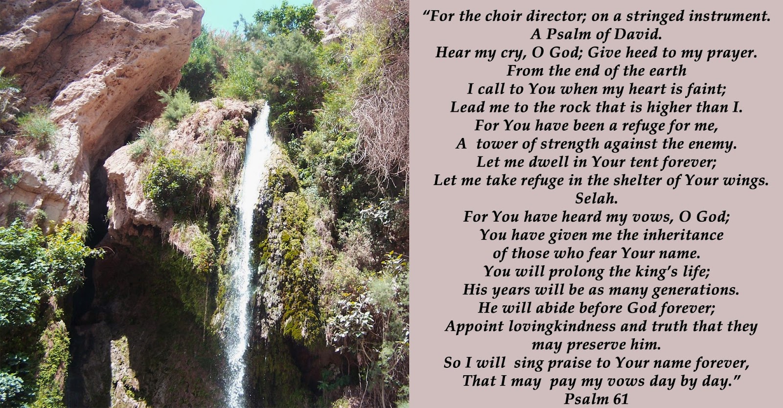 Prayer And Bible Expo Psalm 61 prayer-and-bible-expo-psalm-61