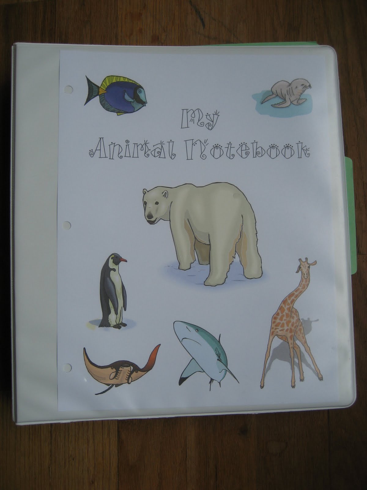 The Preschool Experiment: Animal Notebook