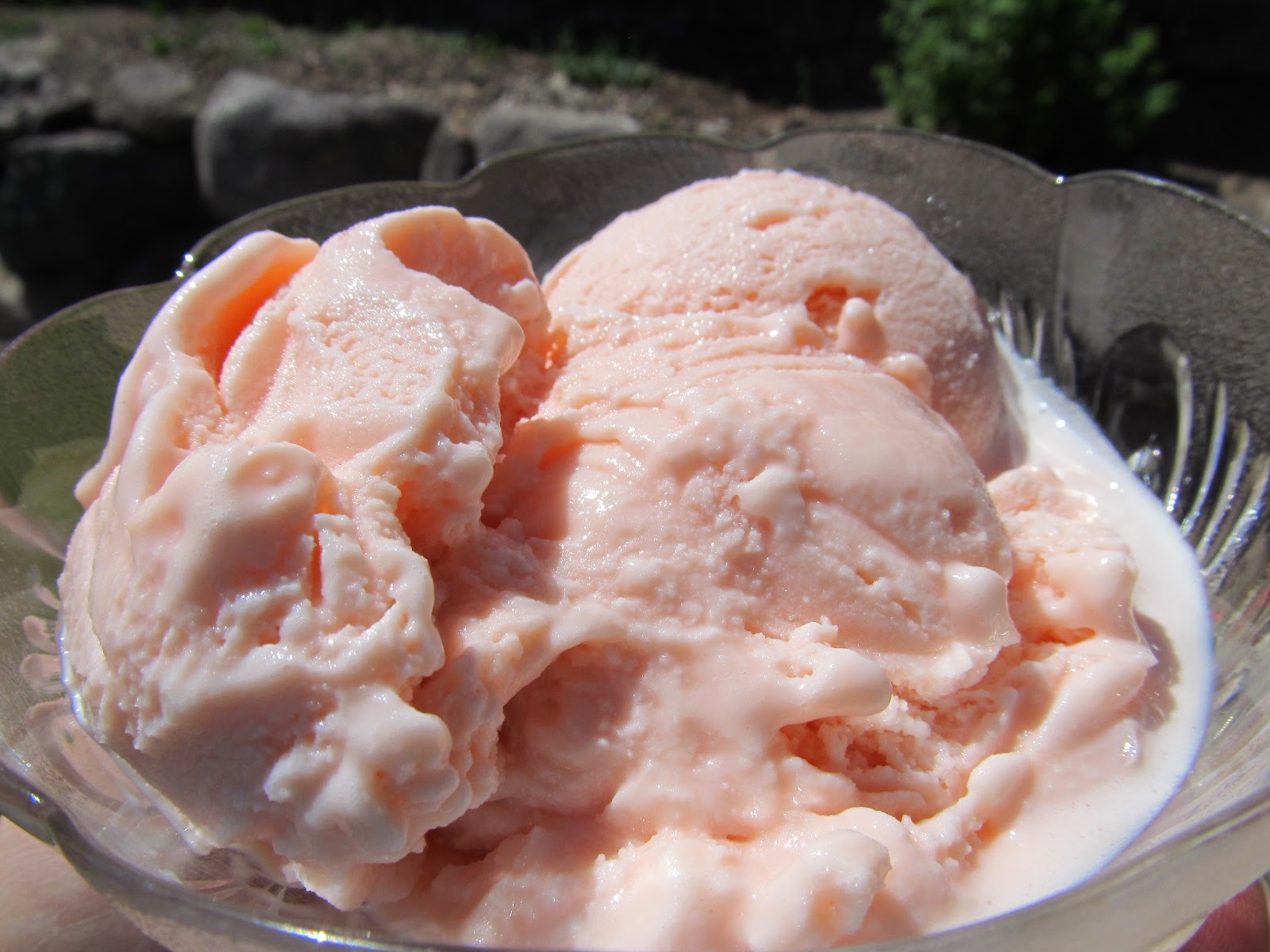 Foodie Family: Summer is Ice Cream Time: Part 2