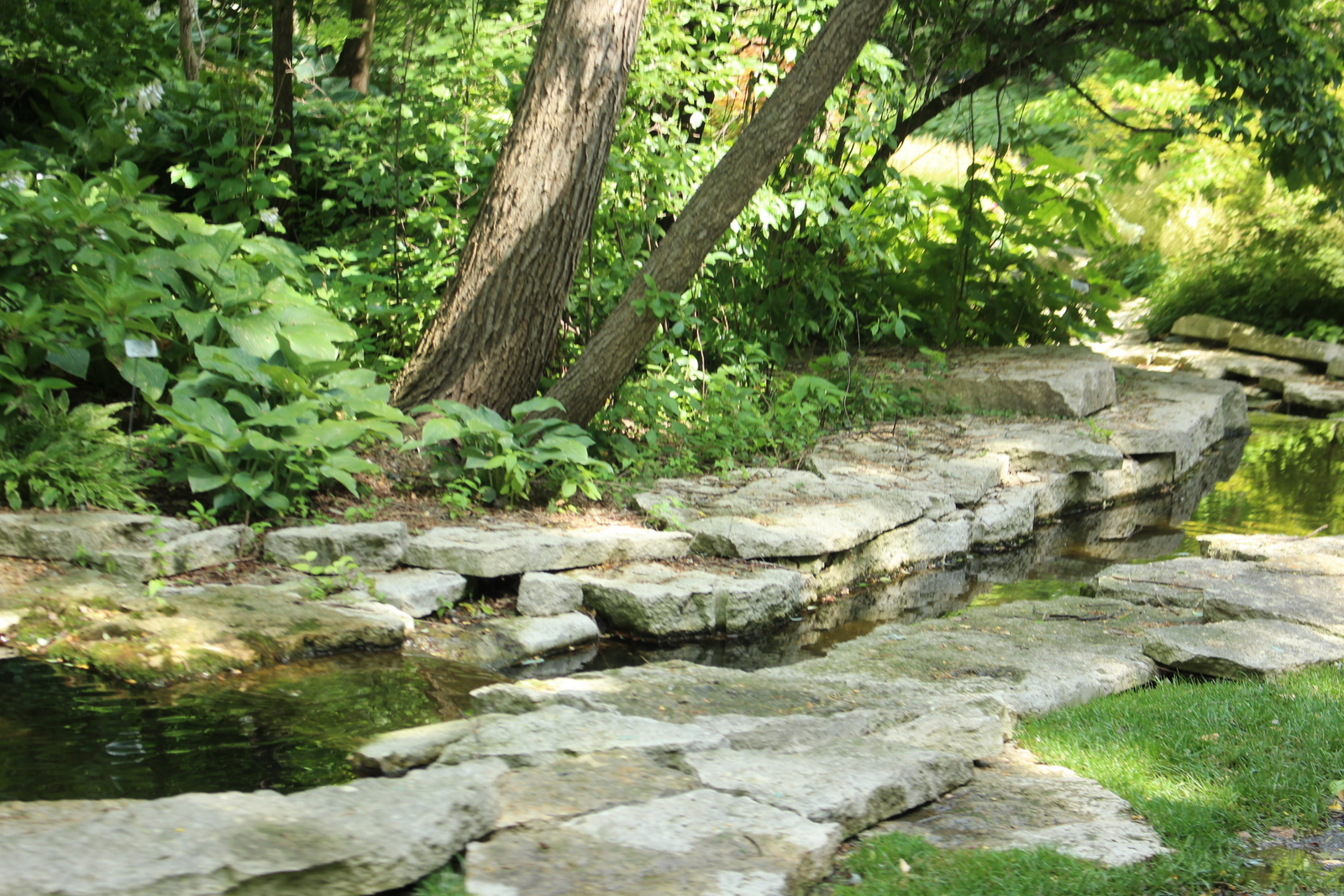 Beth's Blog: Day 17 - Omaha, Nebraska and a Visit to the Botanical Gardens