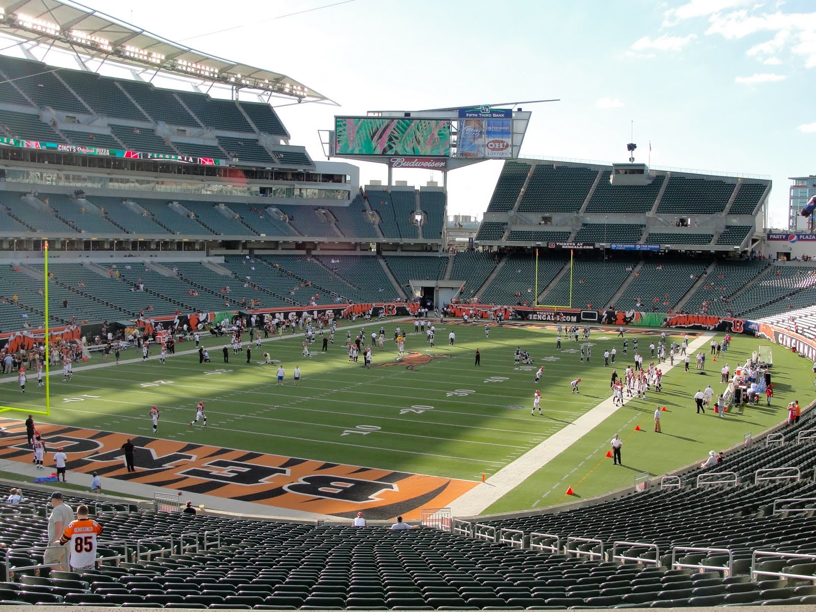Todd Wright There: The Bengals Experience
