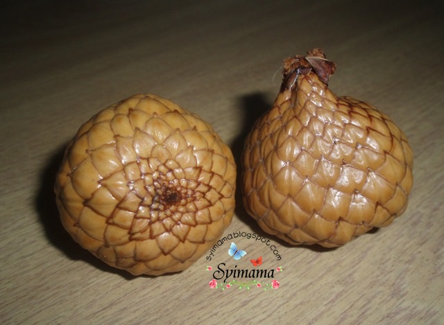 SYIMAMA PAGE: ASAM KELUBI