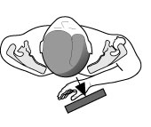 UW Shoulder and Elbow Academy: Rotator Cuff 6 - Clinical examination ...