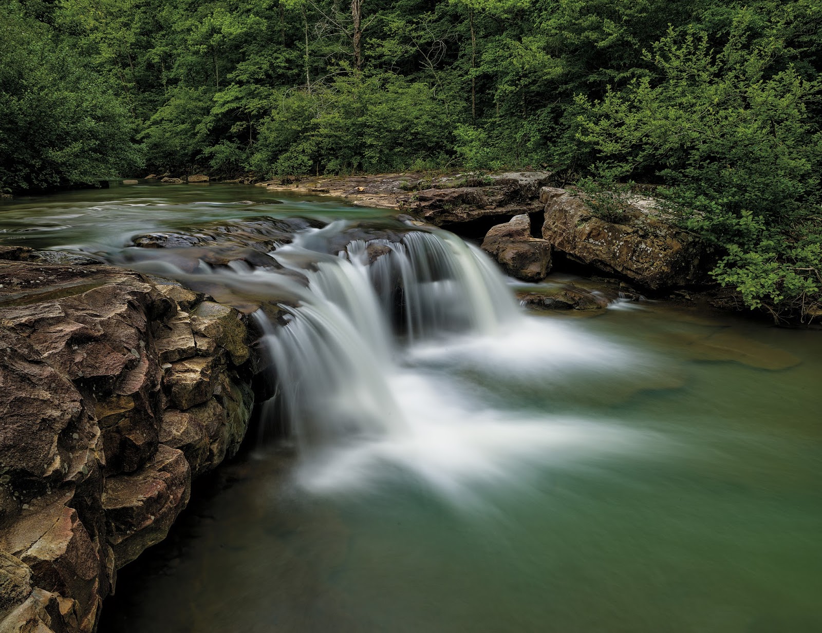 50 Authors from 50 States: HEADLINE: New York Reviewer Visits Arkansas ...