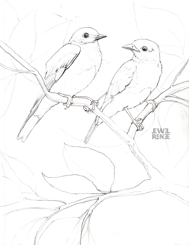 Jewel Renee Illustration: Birds for Kathy's Cottage
