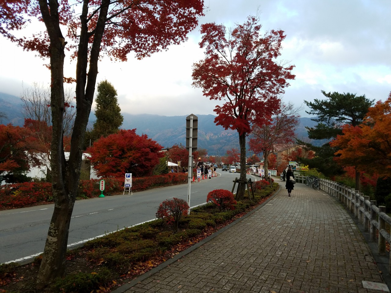 Sekai Ichi: Japan Travel Blog: Kawaguchi-ko Maple Corridor