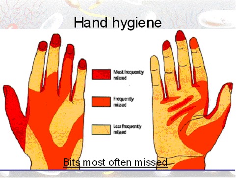 The Student Nurse Converse: April 2013