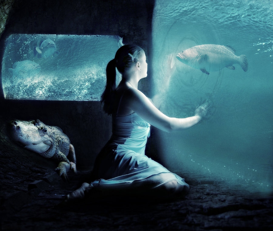 Design Stack: A Blog about Art, Design and Architecture: Mixing Marine ...