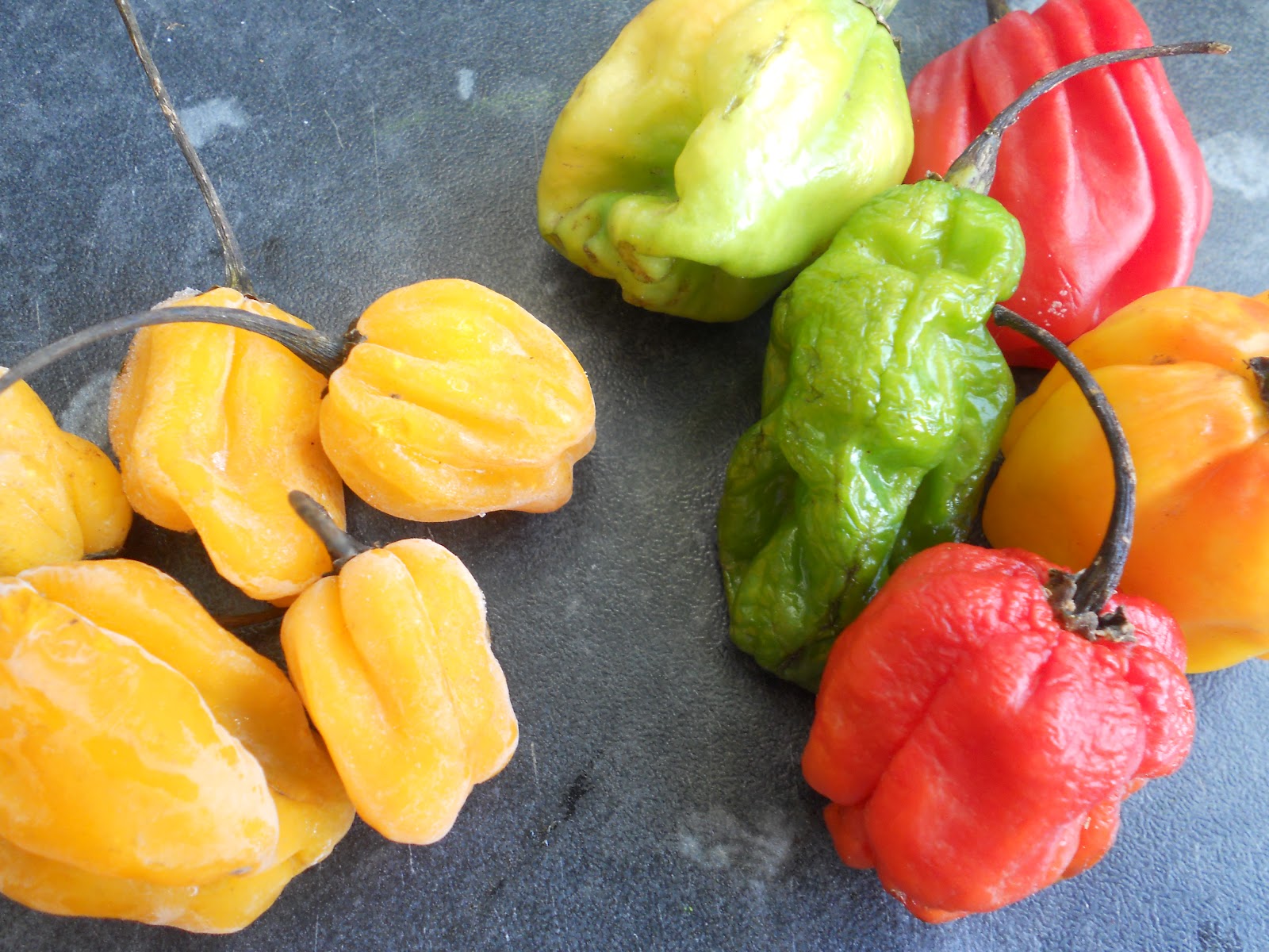 Ingredient of the Month 8 : Chillis