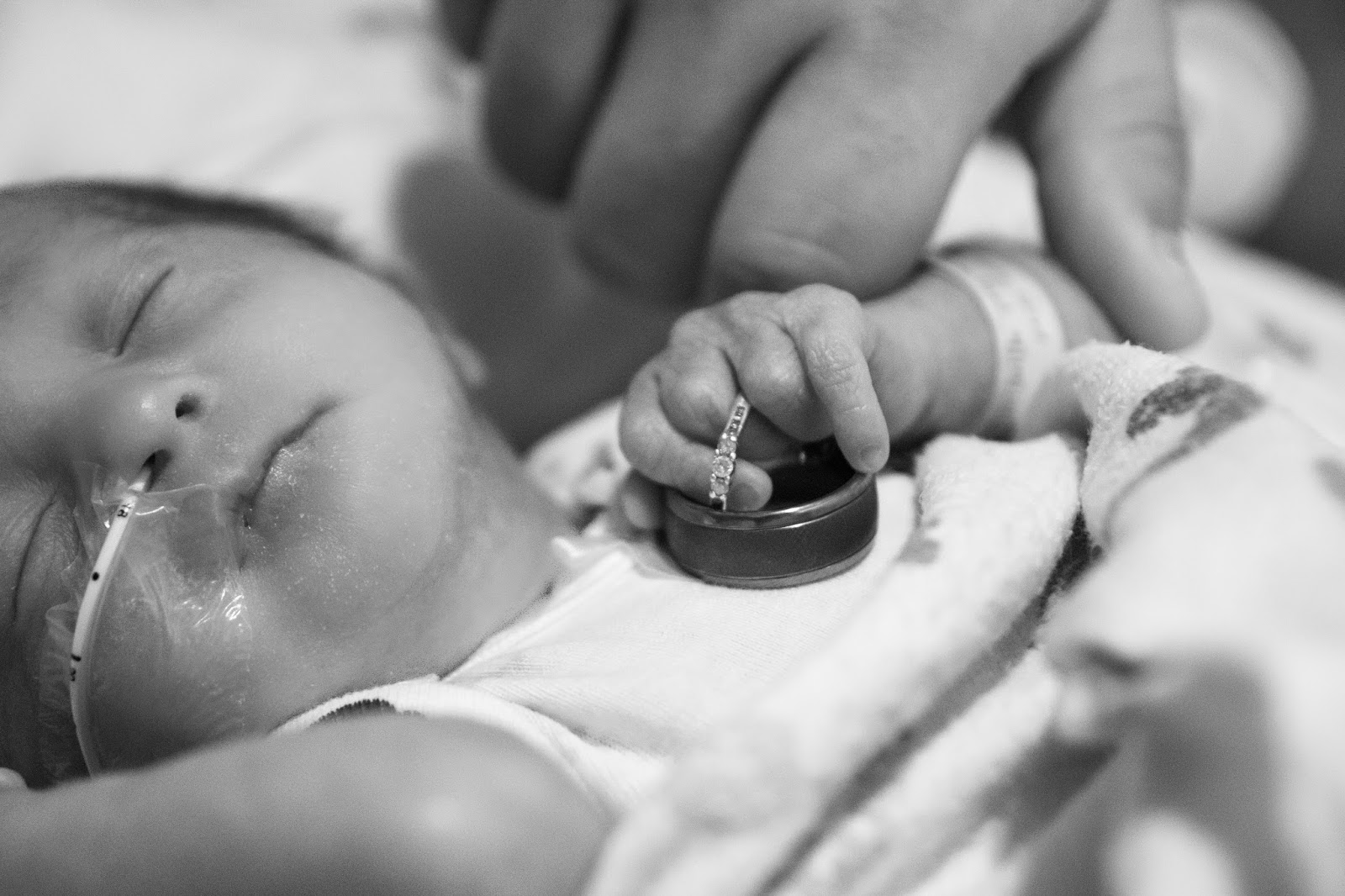 Cherishing Elise: Carrying and Loving Our Trisomy 18 Baby: Photos from ...