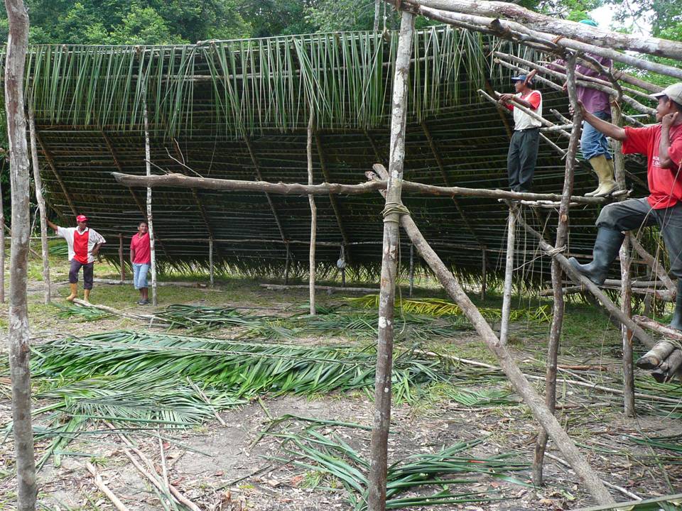 ARQUITECTURA INDÍGENA: CONSTRUCCION DE UN SHABONO YANOMAMI or "Making ...