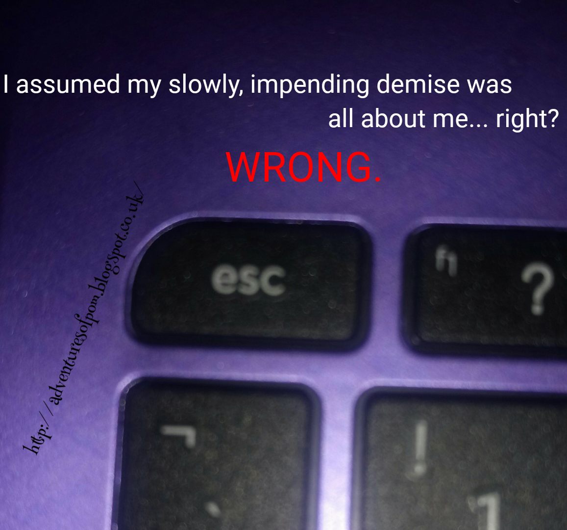 Adventures of Pom: AOP Memes