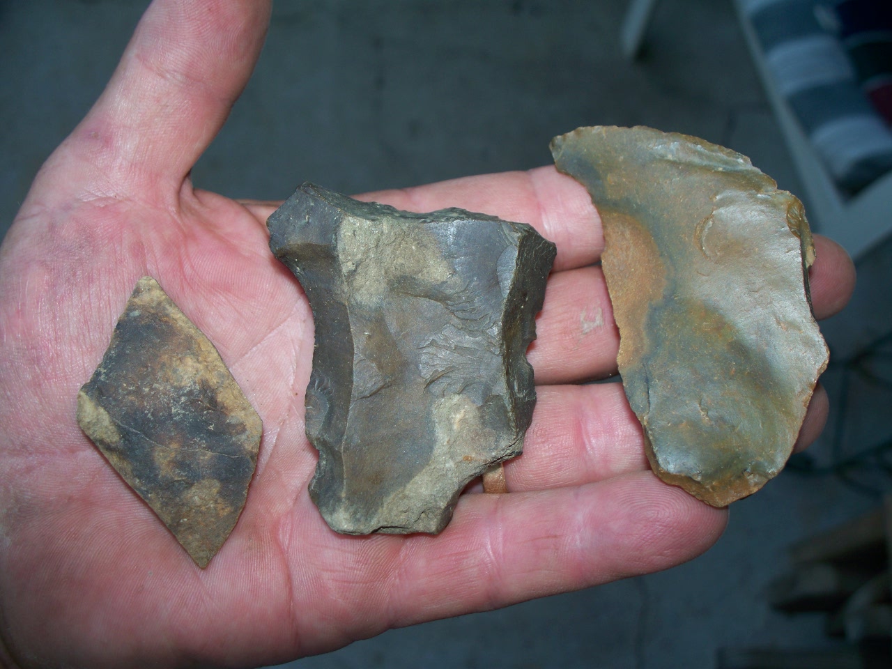 Archaeology of Portable Rock Art: A floating water bird sculpture and ...