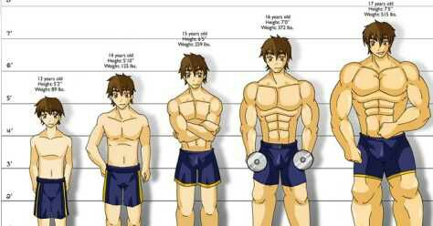 The 7 Steps You Should Take to Guarantee Muscle Growth